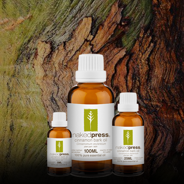Cinnamon Bark Oil: Spice Up Your Day with Warmth! – NakedPress Australia