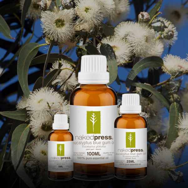 Eucalyptus Blue Gum Oil - Aromatherapy – NakedPress Australia