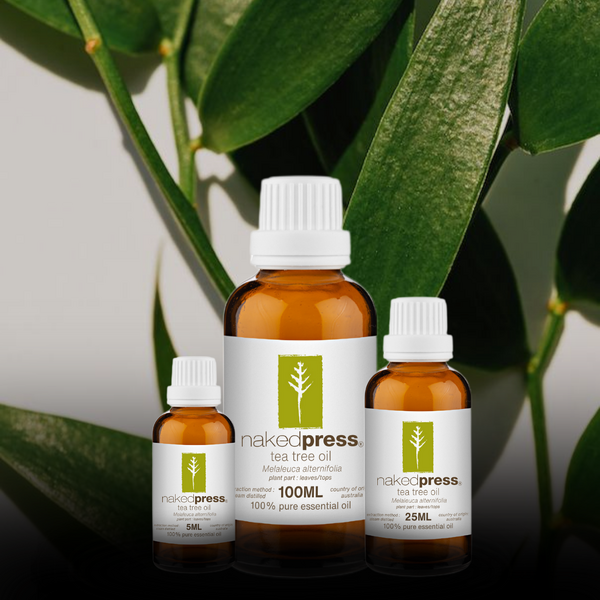 tea tree essential oil: Discover Nature's Healing Power! – NakedPress ...